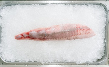 Top Frozen Indian Seafood Supplier - Fish, Shrimp, Crab, and More