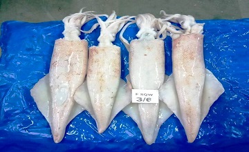 Vietnam Frozen Pangasius Steaks - Top-Quality Seafood Supplier